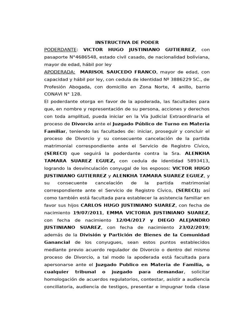 Instructiva de Poder Divorcio | PDF | Divorcio | Gobierno