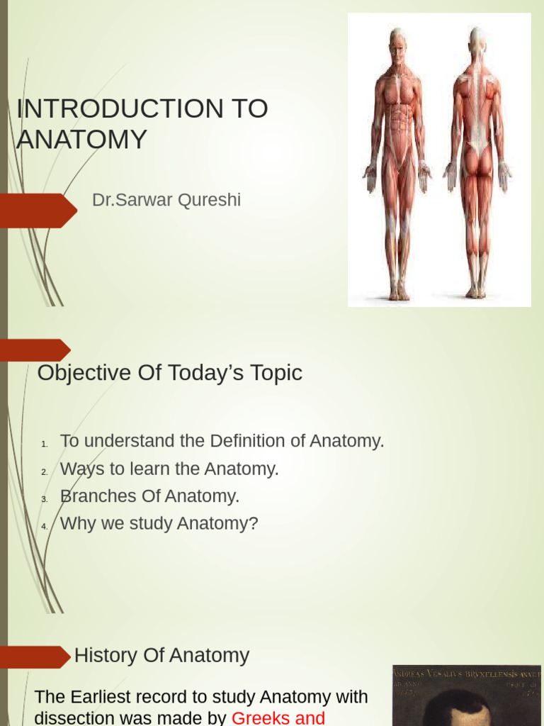 Introduction of Anatomy 2 | PDF
