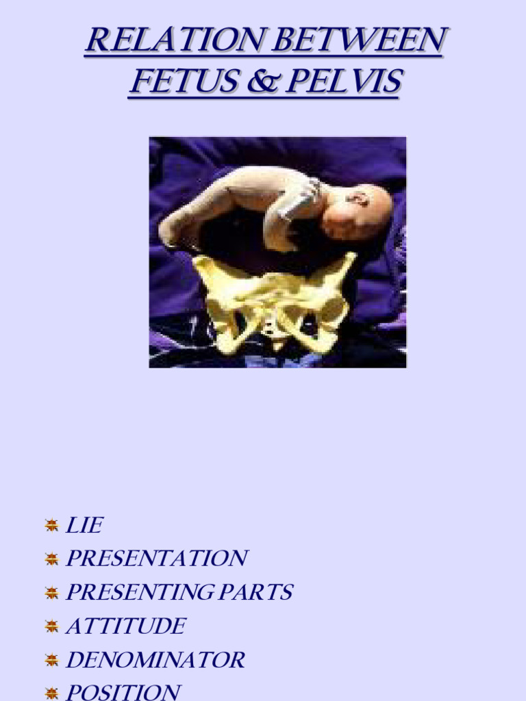 6.fetal Skull and Maternal Pelvis | PDF | Pelvis | Musculoskeletal System