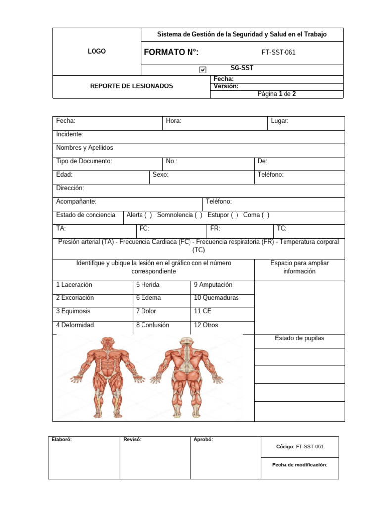 Reporte de Lesionados | PDF | Especialidades Medicas | Enfermedades y ...