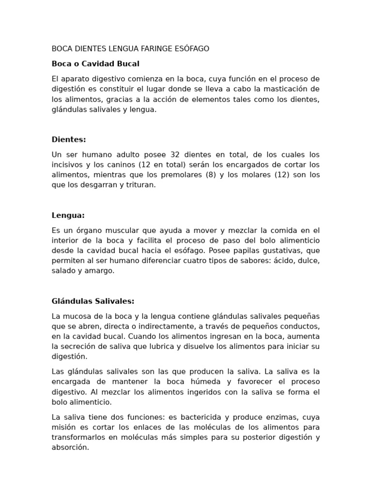 Anatomía de la Boca y Faringe | PDF | Digestión | Boca