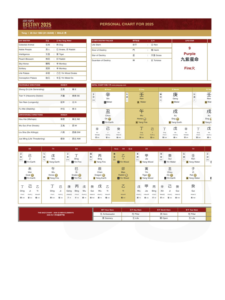 Teng Bazi Life Profilling | PDF