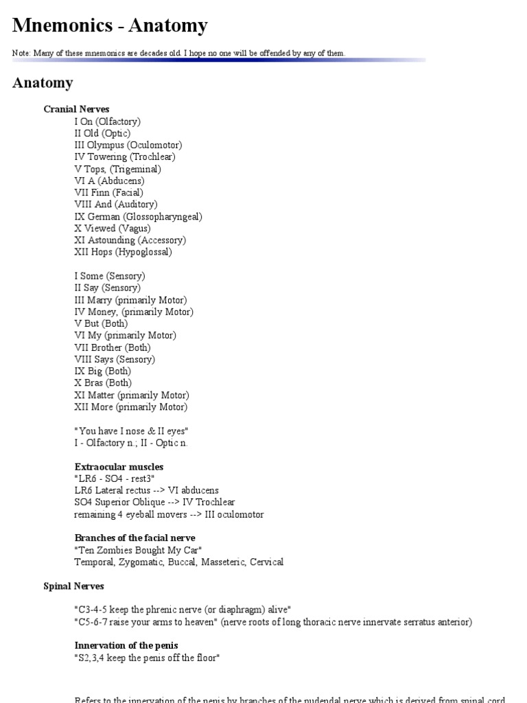 Mnemonics for anatomy cranial nerves and structures | PDF ...