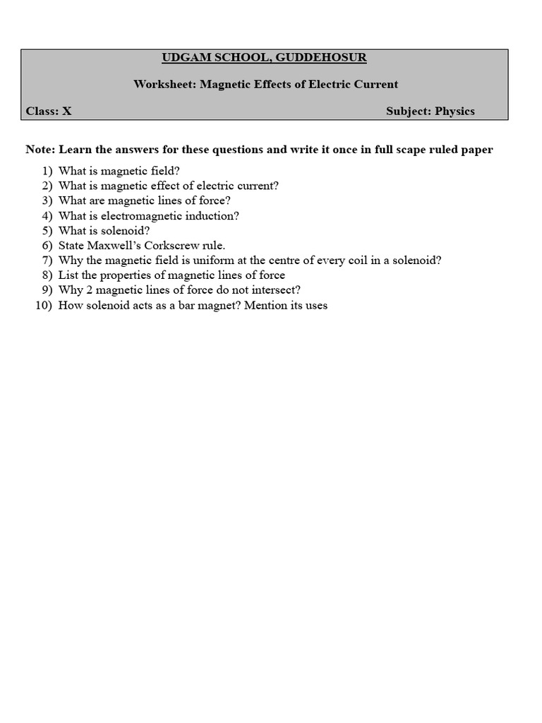 Class 10 Physics Worksheet On Magnetic Fields | PDF
