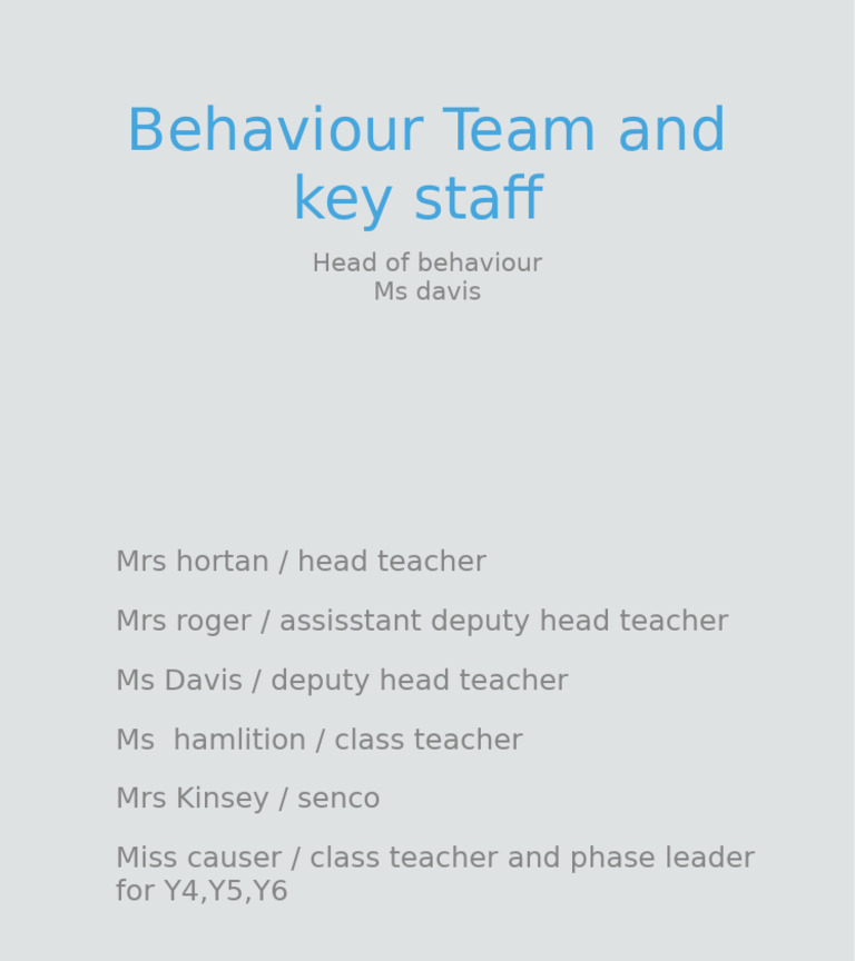 Behaviour Team Key Staff Overview | PDF