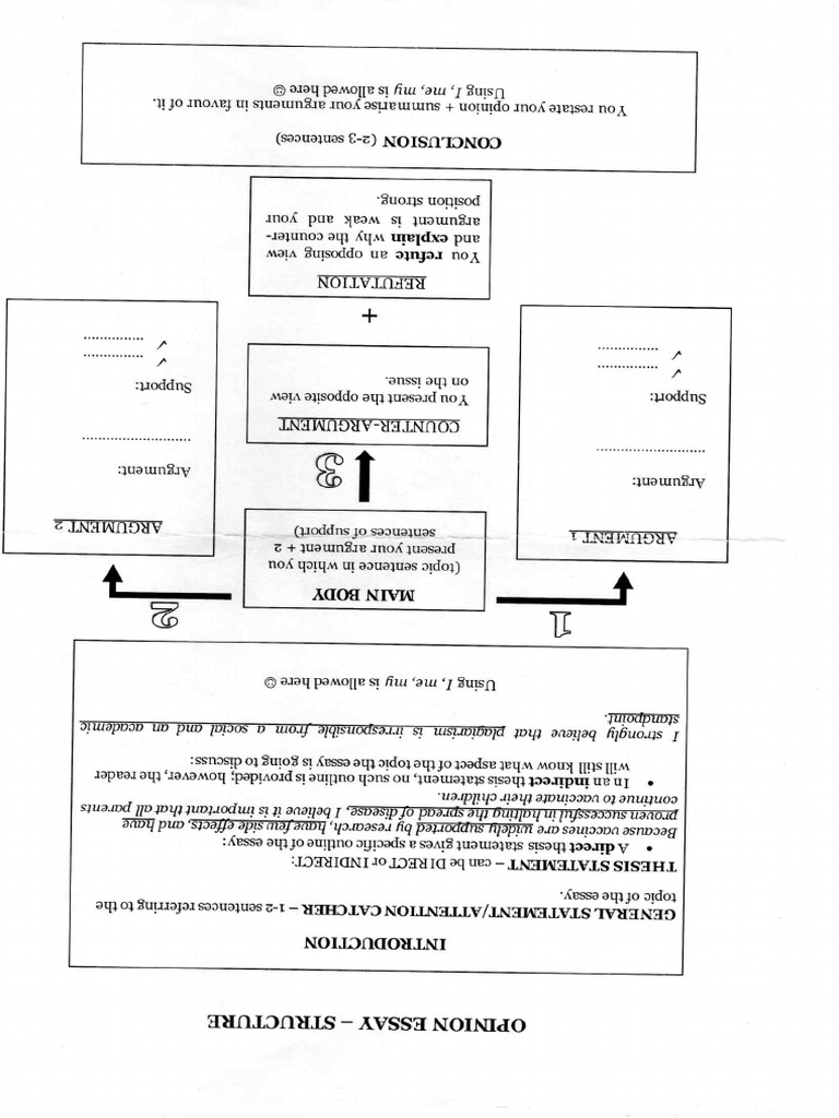 Opinion Essay Structure | PDF