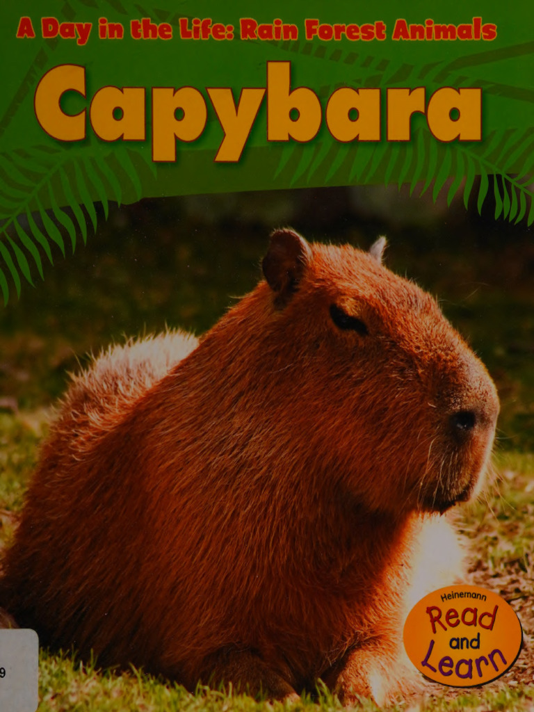 Capybara: Life in the Rainforest | PDF | Rodent | Books