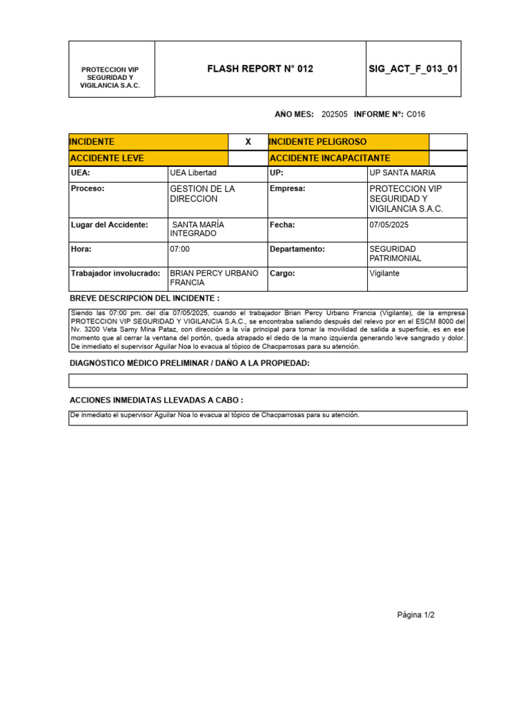 FlashReport - C016-202505 PROTECCION VIP | PDF