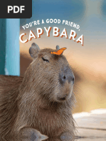 Capybara: Life in the Rainforest | PDF | Rodent | Books