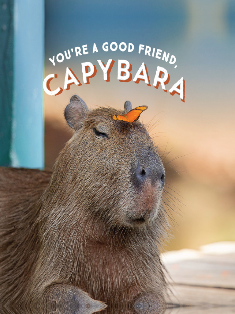 You'Re A Good Friend, Capybara | PDF | Zoology | Animals And Humans