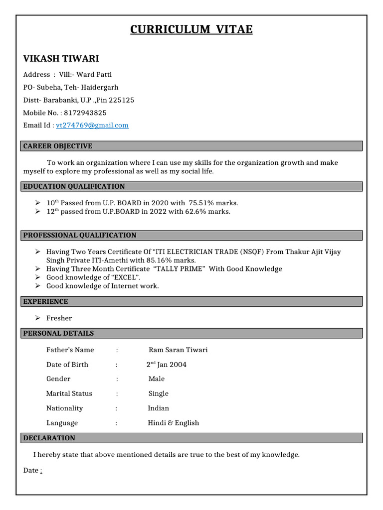 Vikash Resume | PDF