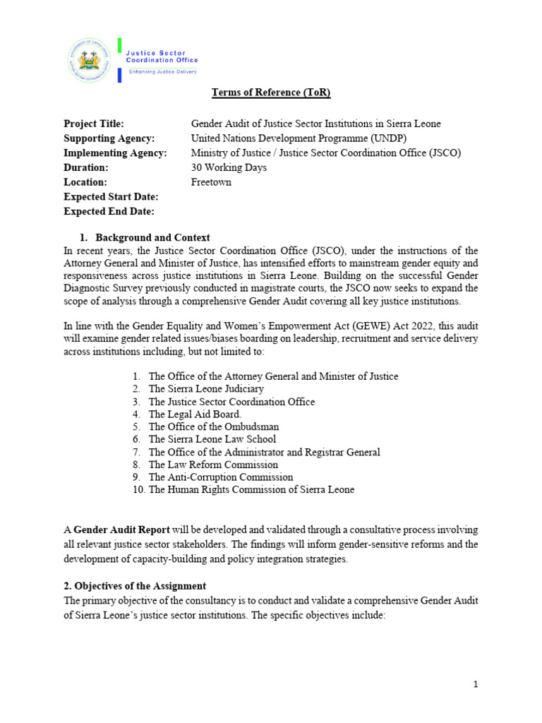 Consultancy Gender Audit ToR | PDF | Methodology | Audit
