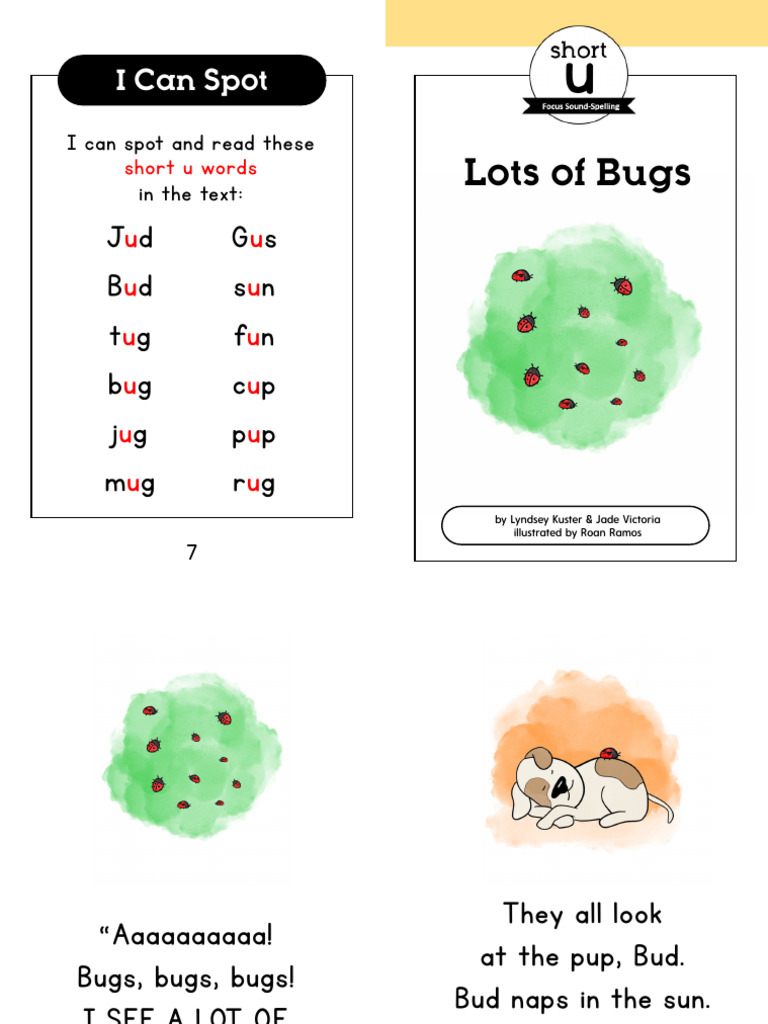 3 Lots of Bugs Foldable | PDF