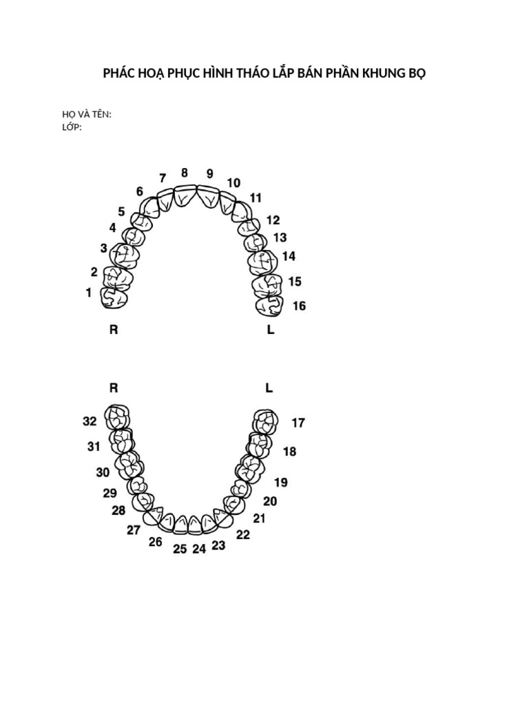 Phác Ho Hàm Khung | PDF