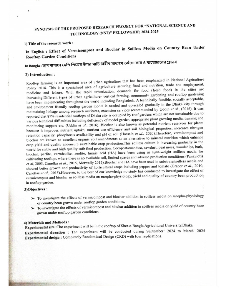 Final Synopsis of NST | PDF