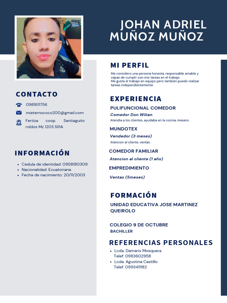 Currículum Vitae JOHAN MUÑOZ | PDF