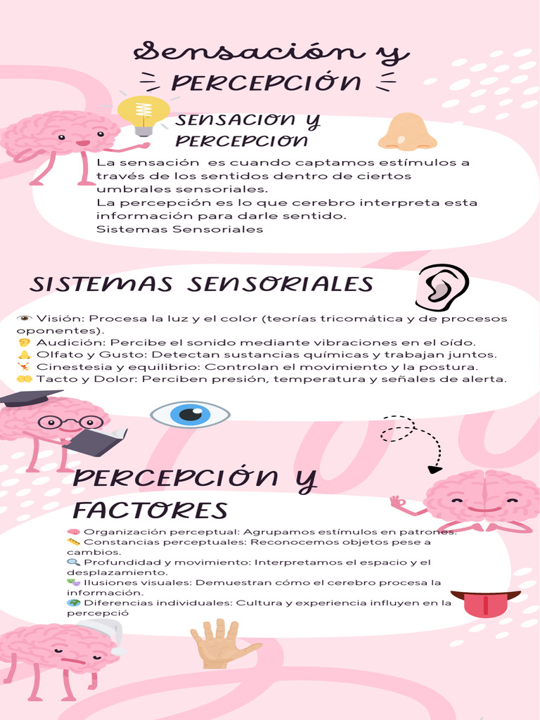 Infografia Sensacion | PDF