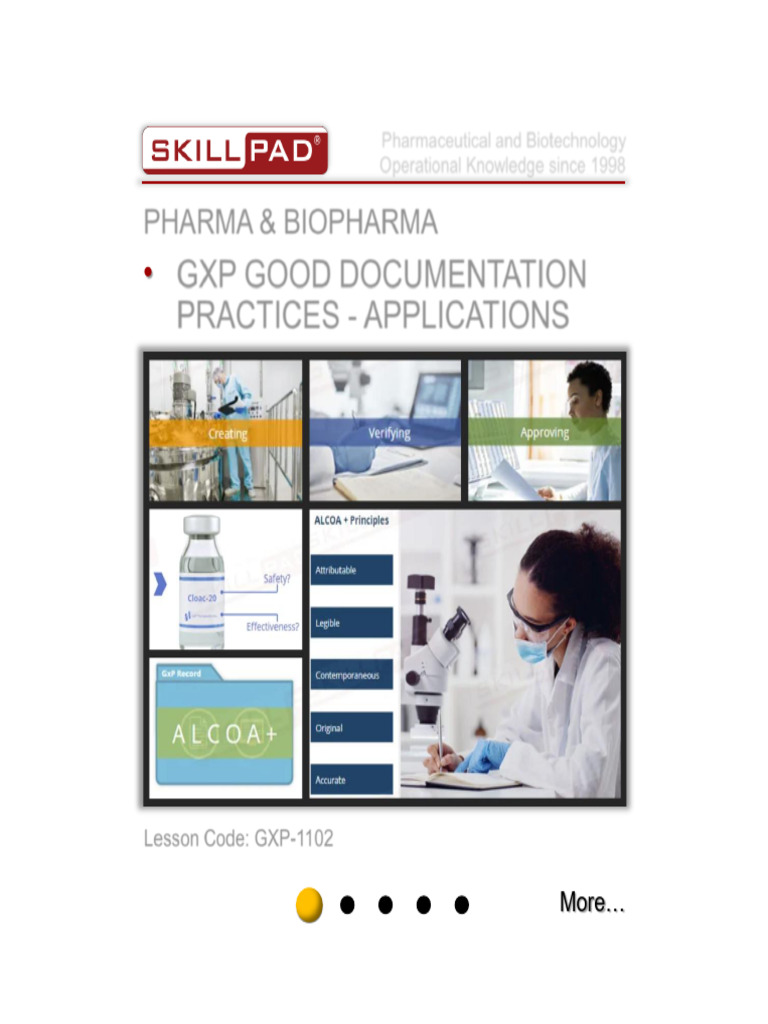 GXP Good Documentation Practices | PDF