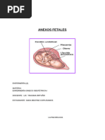 Membranas Fetales y Placenta | PDF | Placenta | Feto