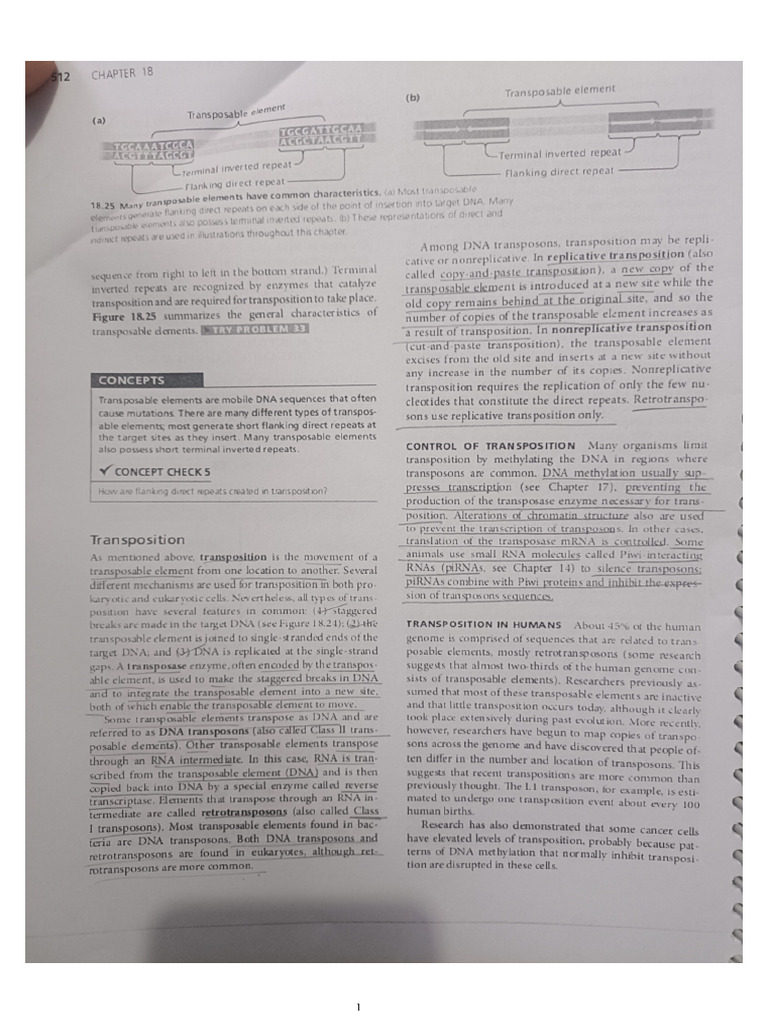 Transposition and Transposable Elements | PDF