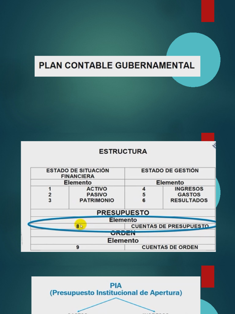 Estructura Del Plan Contable Gubernamental | PDF