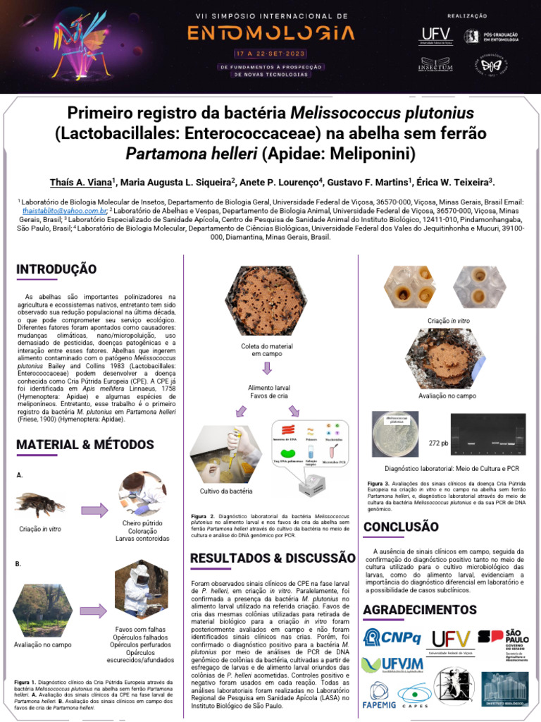 Poster Bactéria Impressão | PDF | Abelhas | Reação em cadeia da polimerase