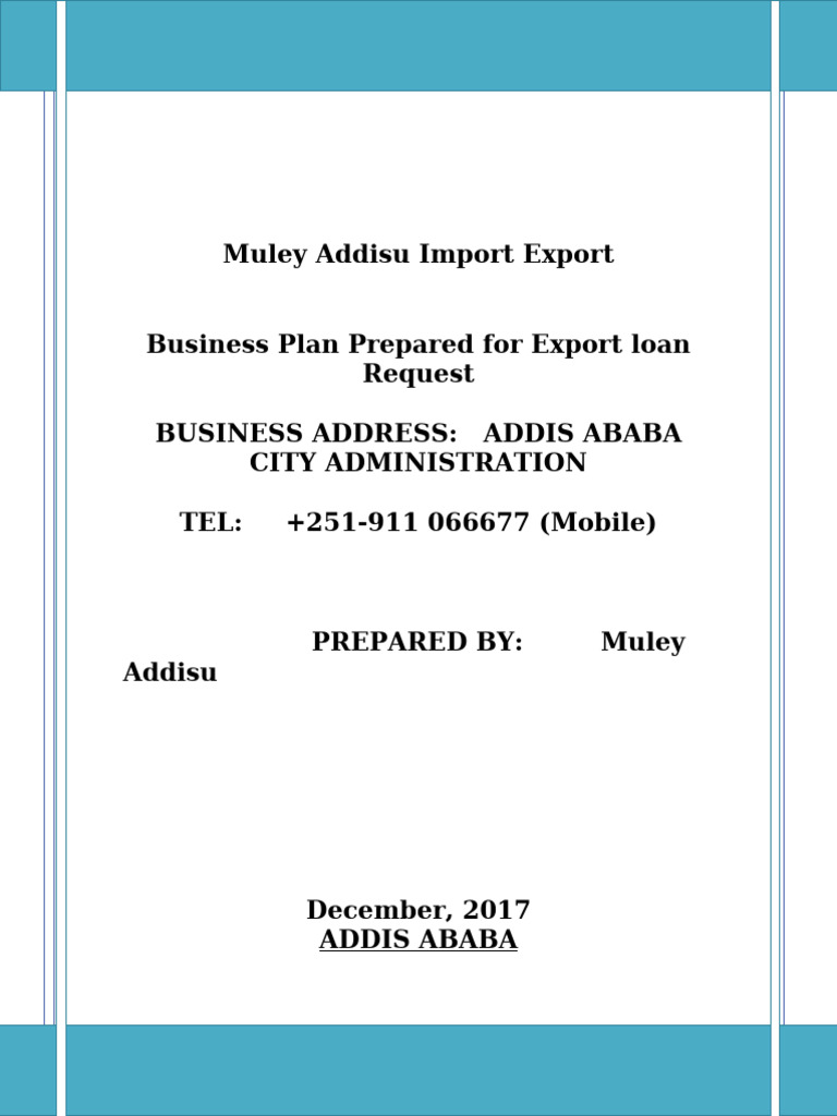 Muley Addisu Import Export Business Plan | PDF | Procurement | Marketing