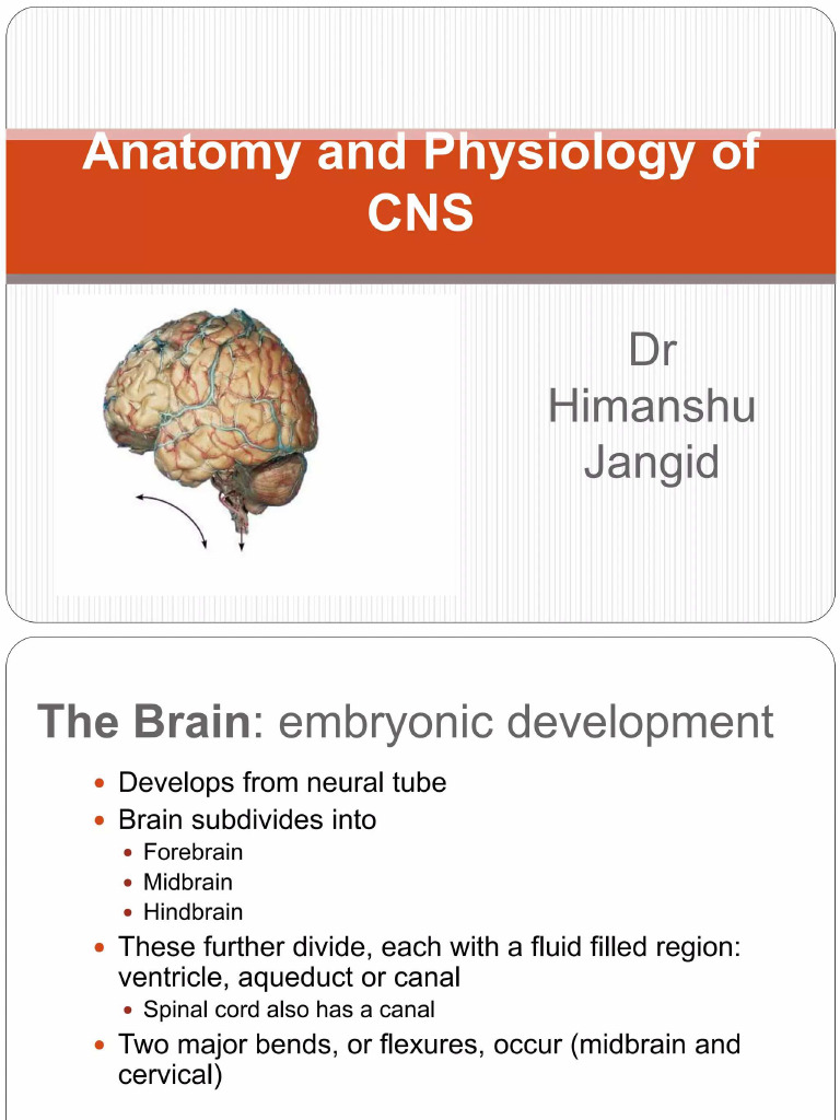 ed0242e4-d362-47c4-b481-6ab8e2b6104b | PDF