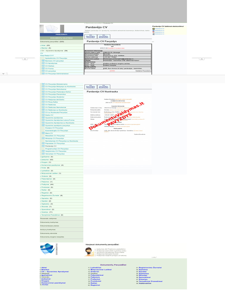 Pardavėjo CV Pavyzdys - WORD PDF | PDF