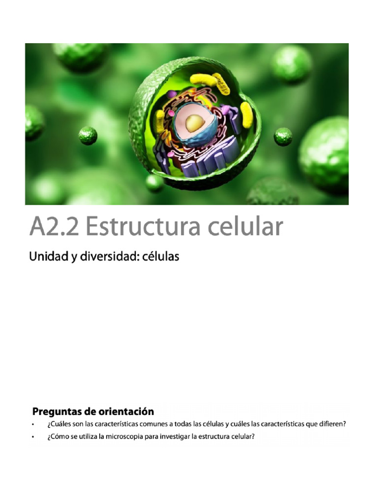 A2.2 Estructura Celular I | PDF | Biología Celular) | Microscopio