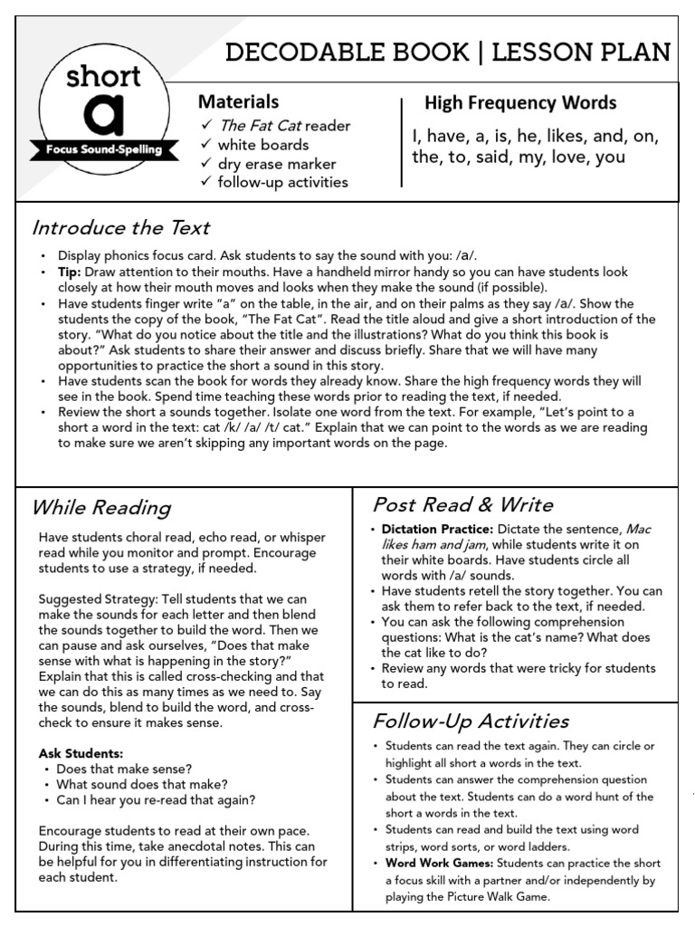 2 The Fat Cat Lesson Plan | PDF | Phonics | Human Communication