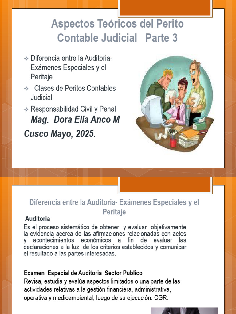PERITO C | PDF | Testigo experto | Auditoría