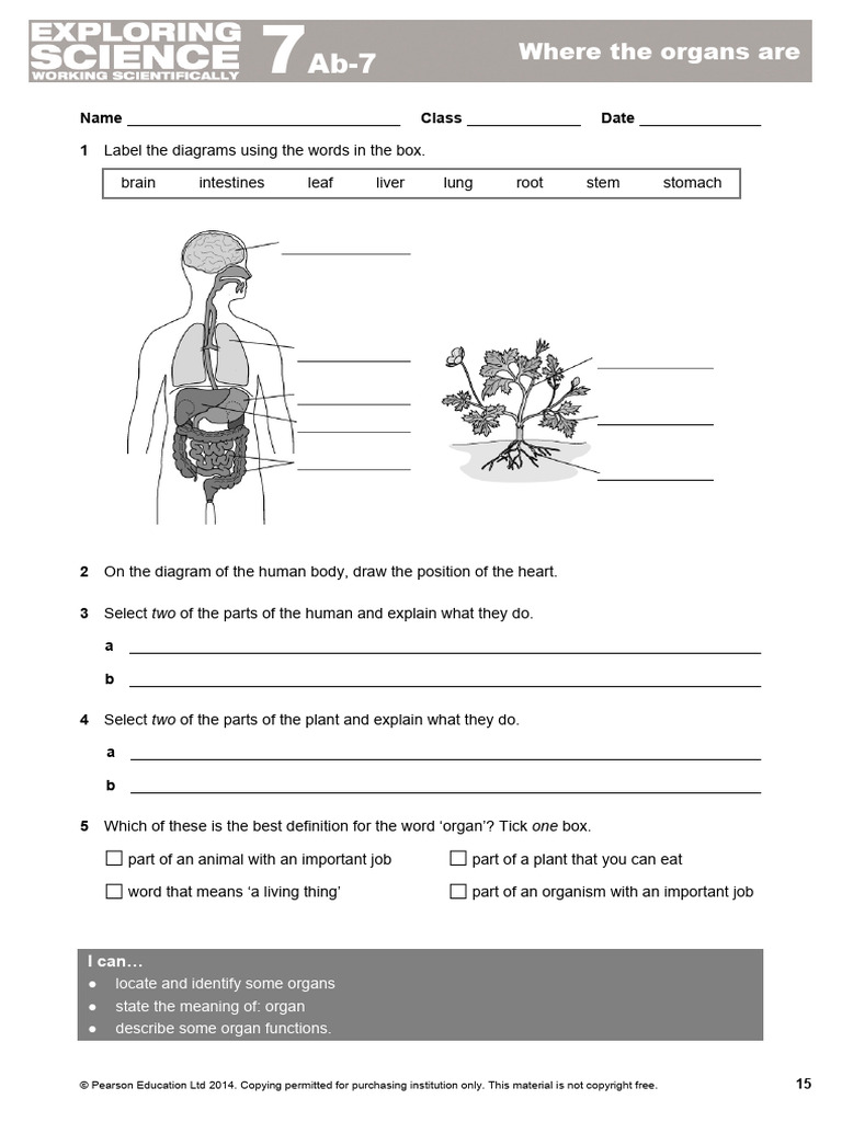 L2 7ab Organs Location WS | PDF