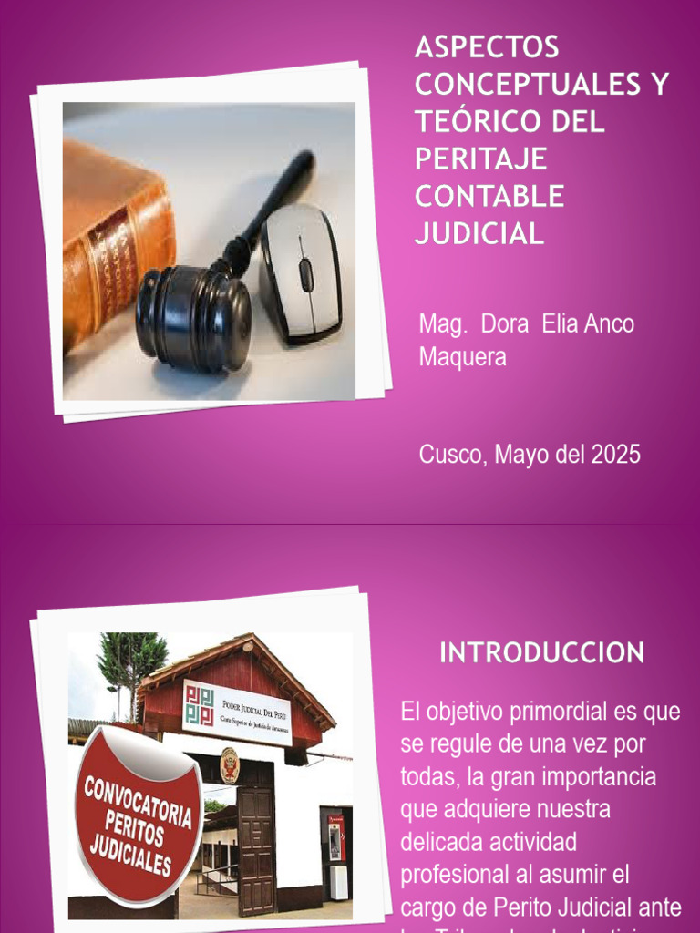 Peritaje 1a | PDF | Testigo experto