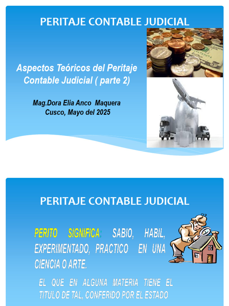 Peritaje Contable Judicial: Aspectos Clave | PDF | Testigo experto ...