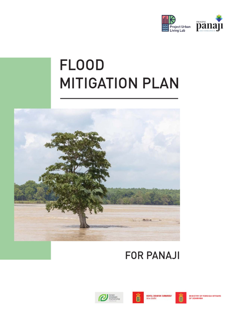 Flood Mitigation Plan_PULL | PDF | Flood | Stormwater