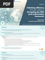 Type II Variation Checklist Guide | PDF