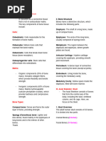 Complete List of 206 Human Bones | PDF | Vertebra | Toe