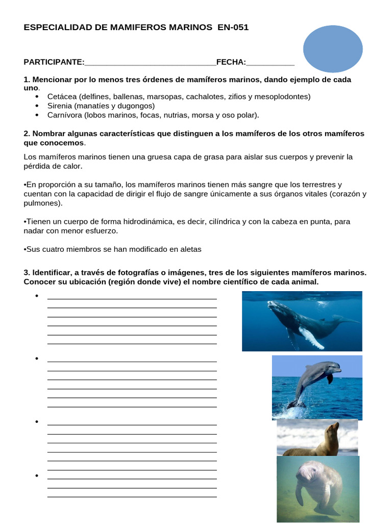 Especialidad de Mamiferos Marino Formato | PDF | Mamíferos marinos ...