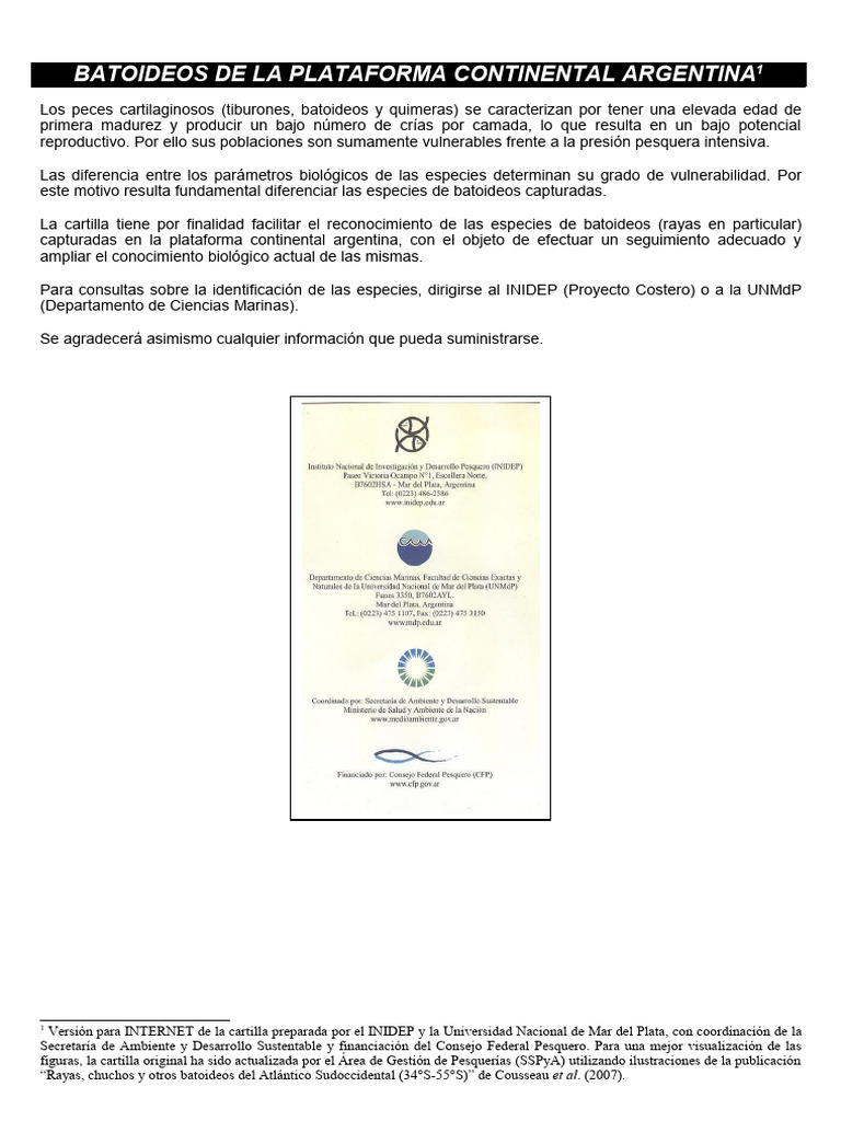 Identificación de Batoideos Argentinos | PDF | Tiburones | Especies
