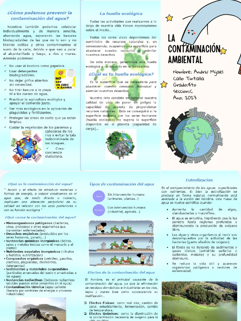 La Contaminación Ambiental 20230806 212917 0000 | PDF
