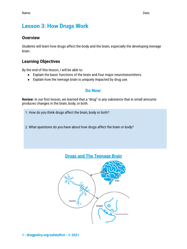 Lesson 3 - How Drugs Work (2021) | PDF | Adolescence | Brain