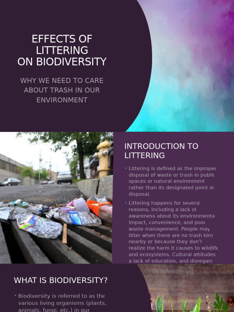 Effects of Littering On Biodiversity | PDF | Ecosystem | Biodiversity