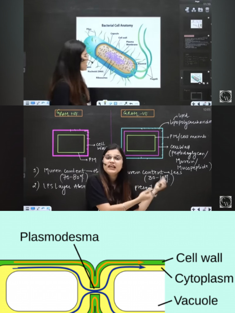 Cell The Unit Life Photo | PDF