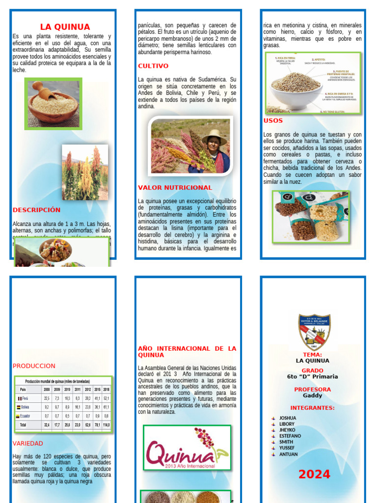 Triptico Quinua | PDF | Quinua