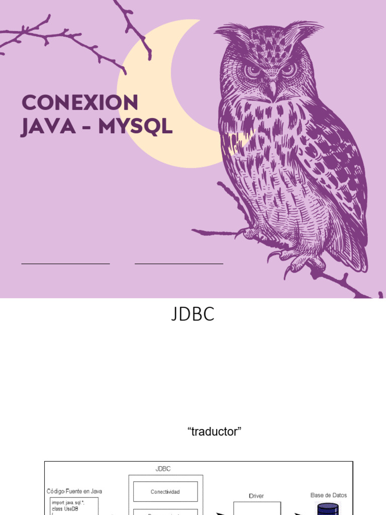 Conexion Java MYSQL | PDF
