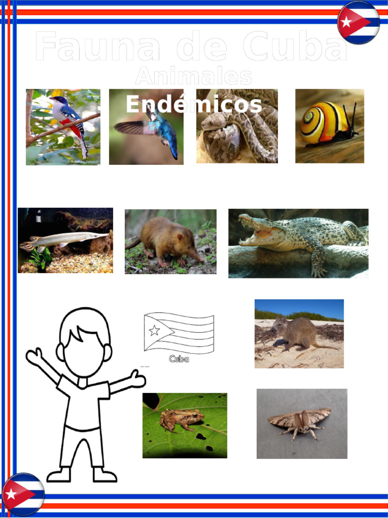 Fauna Endémica de Cuba: Animales Clave | PDF