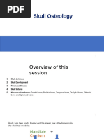 CT Brain Anatomy Overview | PDF | Cerebral Cortex | Skull
