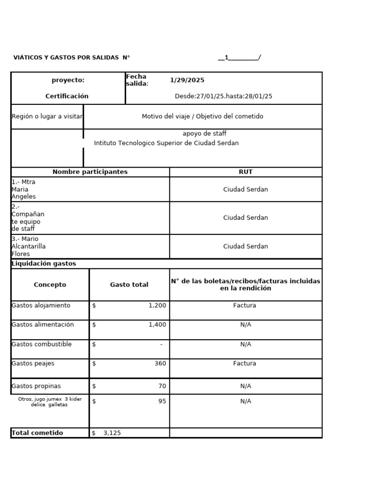 Viaticos y Gastos | PDF