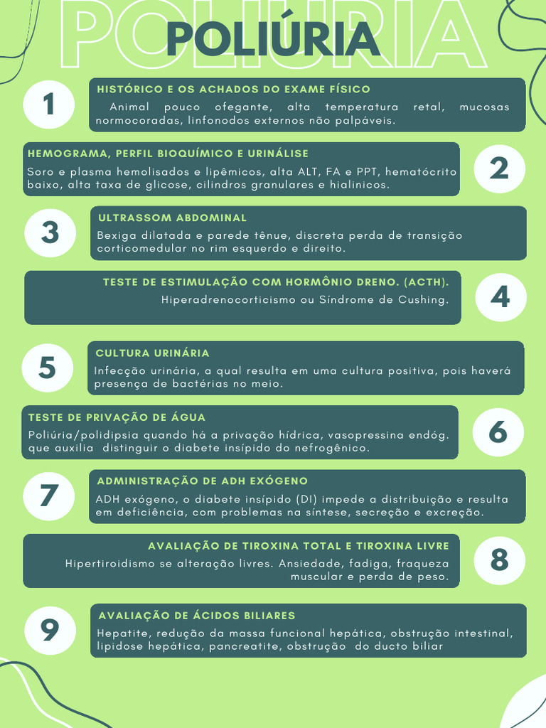 POLIÚRIA-mapa Mental | PDF